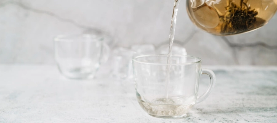 Chá branco: o que é, para que serve e como preparar - Tamarine